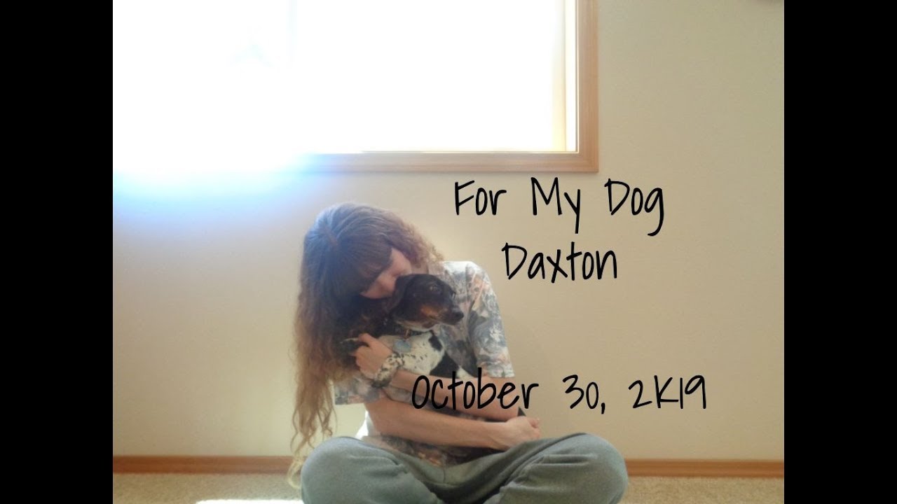 For My Dog Daxton October 30, 2K19 - YouTube