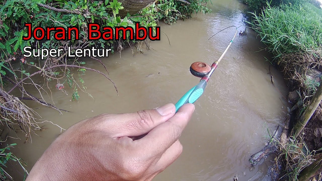 Mancing Ikan Wader Pakai Joran Bambu Super Lentur - YouTube