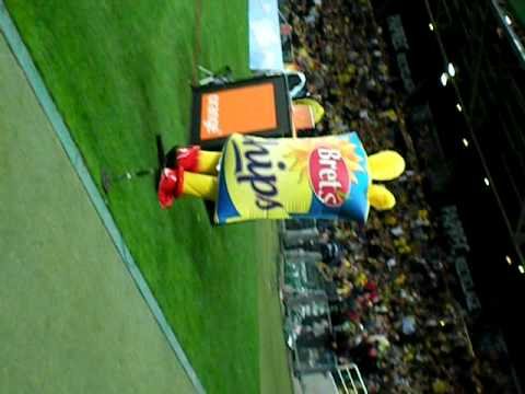 grosse frites