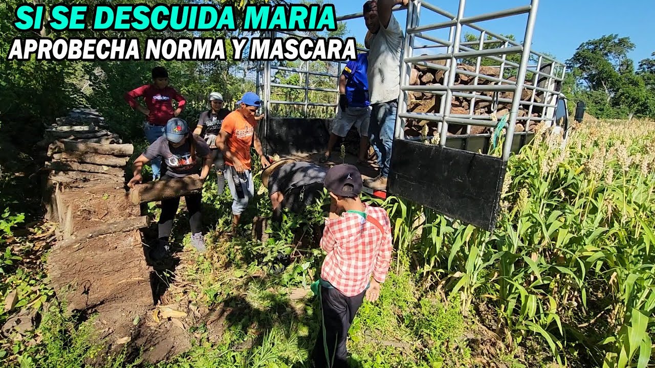 NORMA Y MASCARA APROBECHAN QUE LA MARIA SE DESCUIDE , CON ESTE PANTE ...