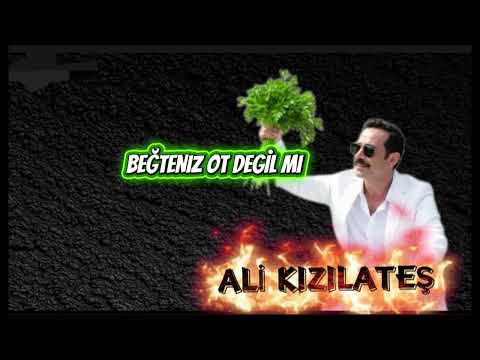 Ali Kızılateş - Beğteniz Ot Değil mı [Maydonoz] (© 2026 Akademi Müzik Prodüksiyon)