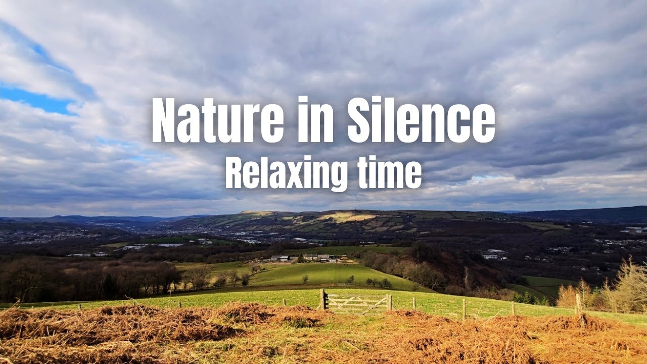 Relaxing Time - Peaceful Scenery & Stress Relief - YouTube