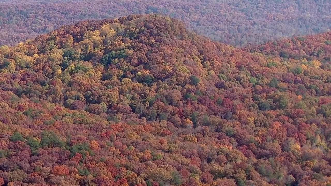 Aerial view of Kentucky's stunning fall foliage - YouTube