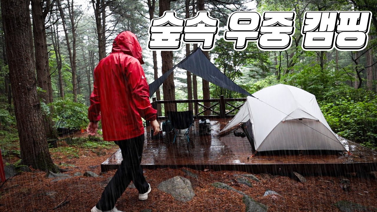 숲속 우중 캠핑 청태산 자연휴양림 음악 없음 솔로캠핑 숲속에서 소고기 구워먹으면 이렇게 맛있는 줄 몰랐어요
