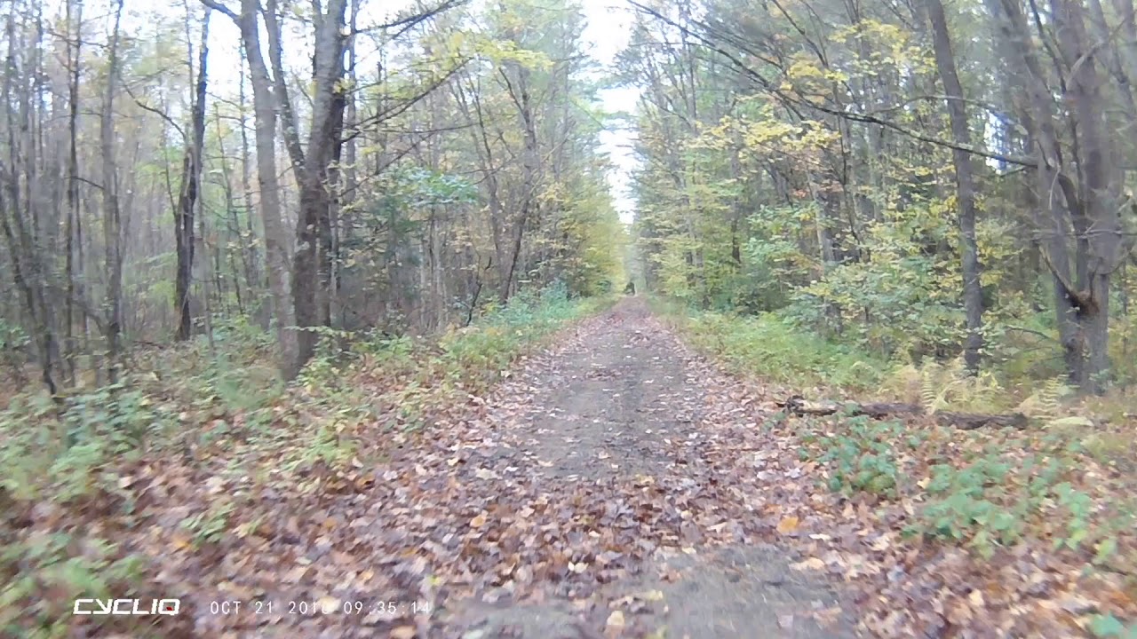 10 21 2018 Ware River Rail Trail #15 - YouTube