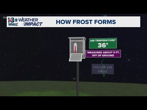 What's the difference between Frost and a Freeze? - YouTube