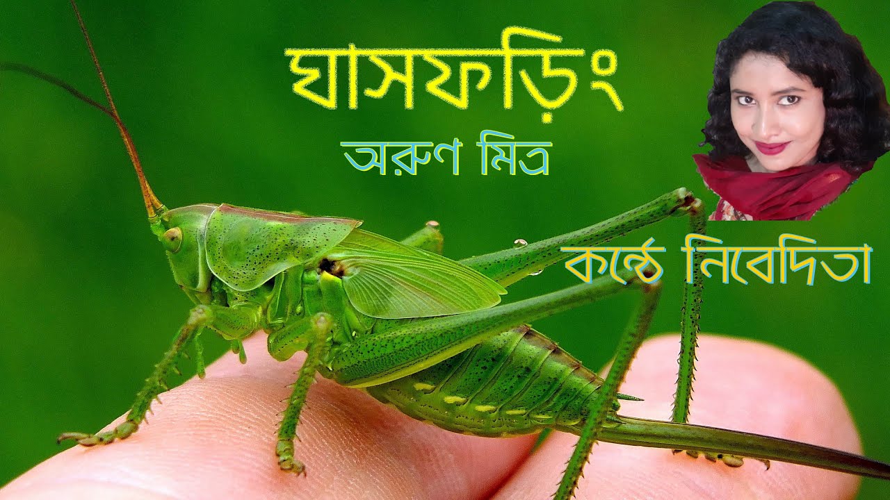 ঘাসফড়িং অরুণ মিত্র কন্ঠে নিবেদিতা | Ghas Foring Arun Mitra class 6 ...