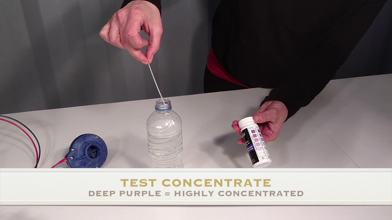 Puride Generator - YouTube