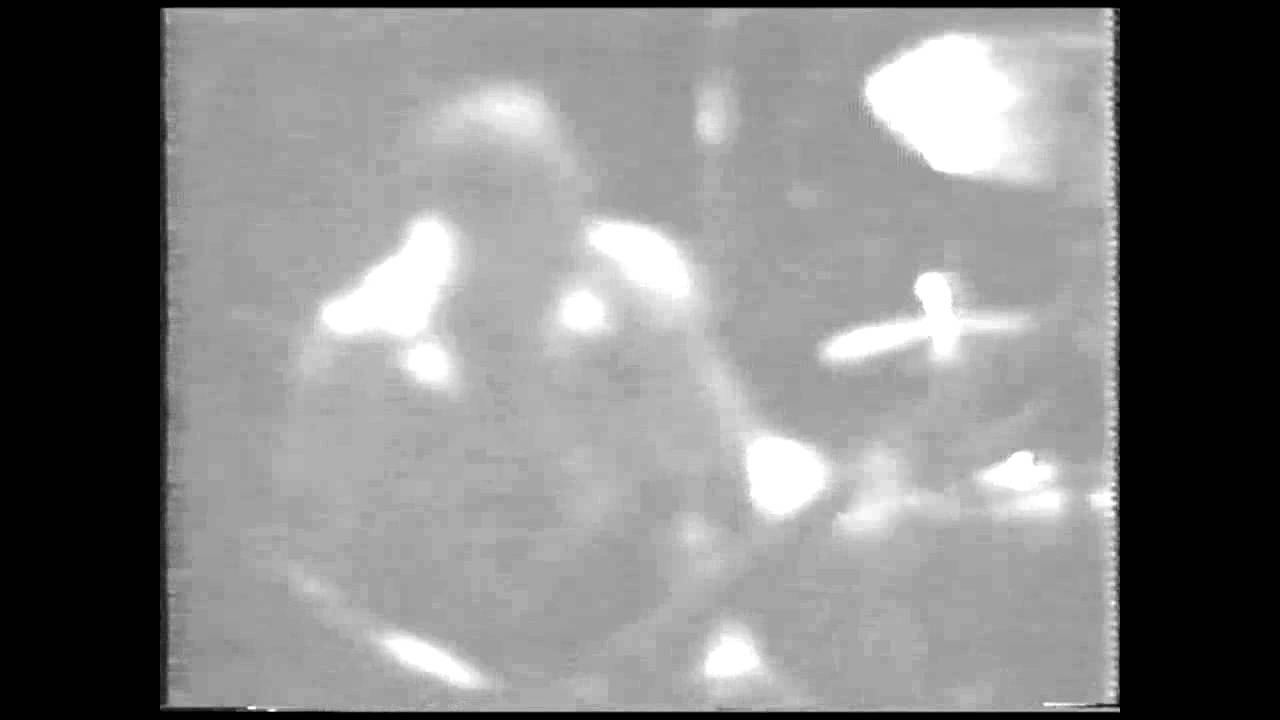 Butthole Surfers Subterrania 1989 Youtube Music