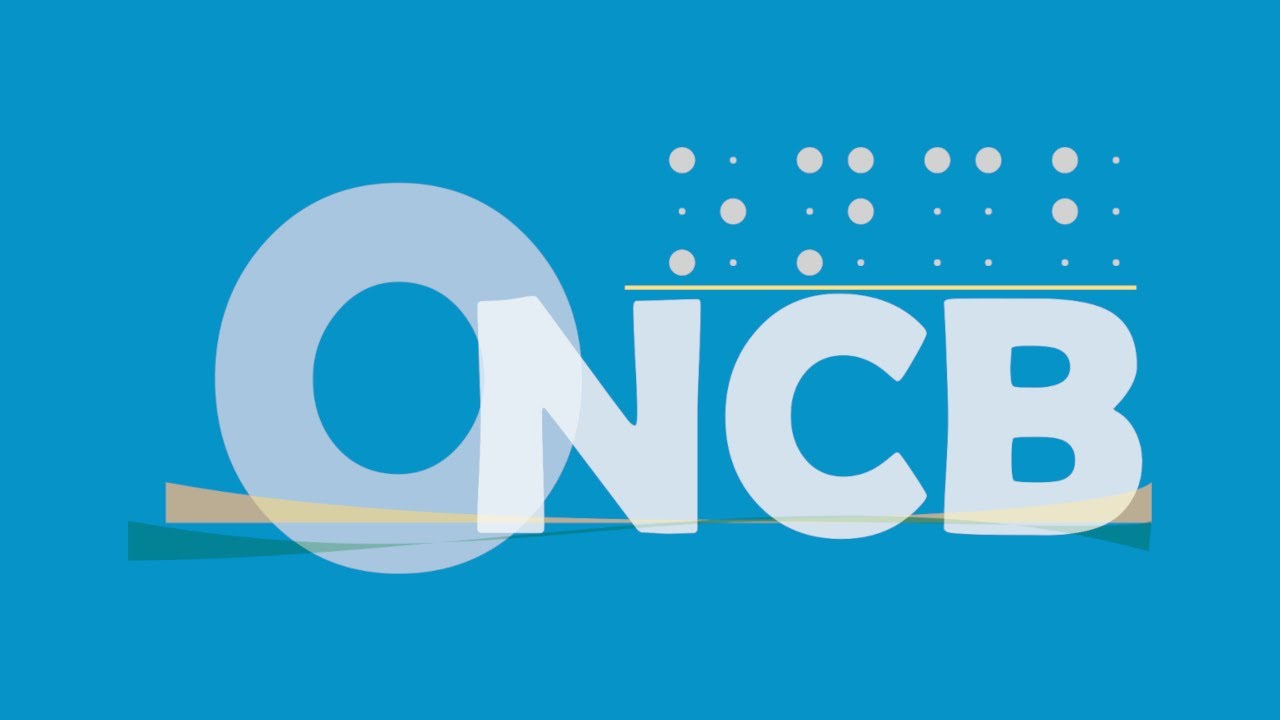 ONCB: 15 anos de inclusão, acessibilidade e protagonismo da pessoa cega ...