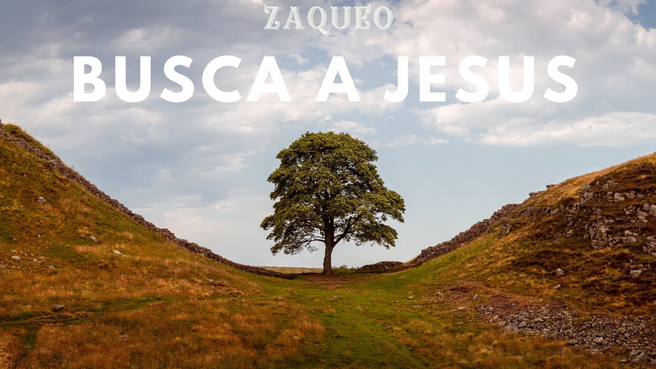 Zaqueo Busca a Jesus | Pastor Jose Diaz | Rama Fructifera - YouTube