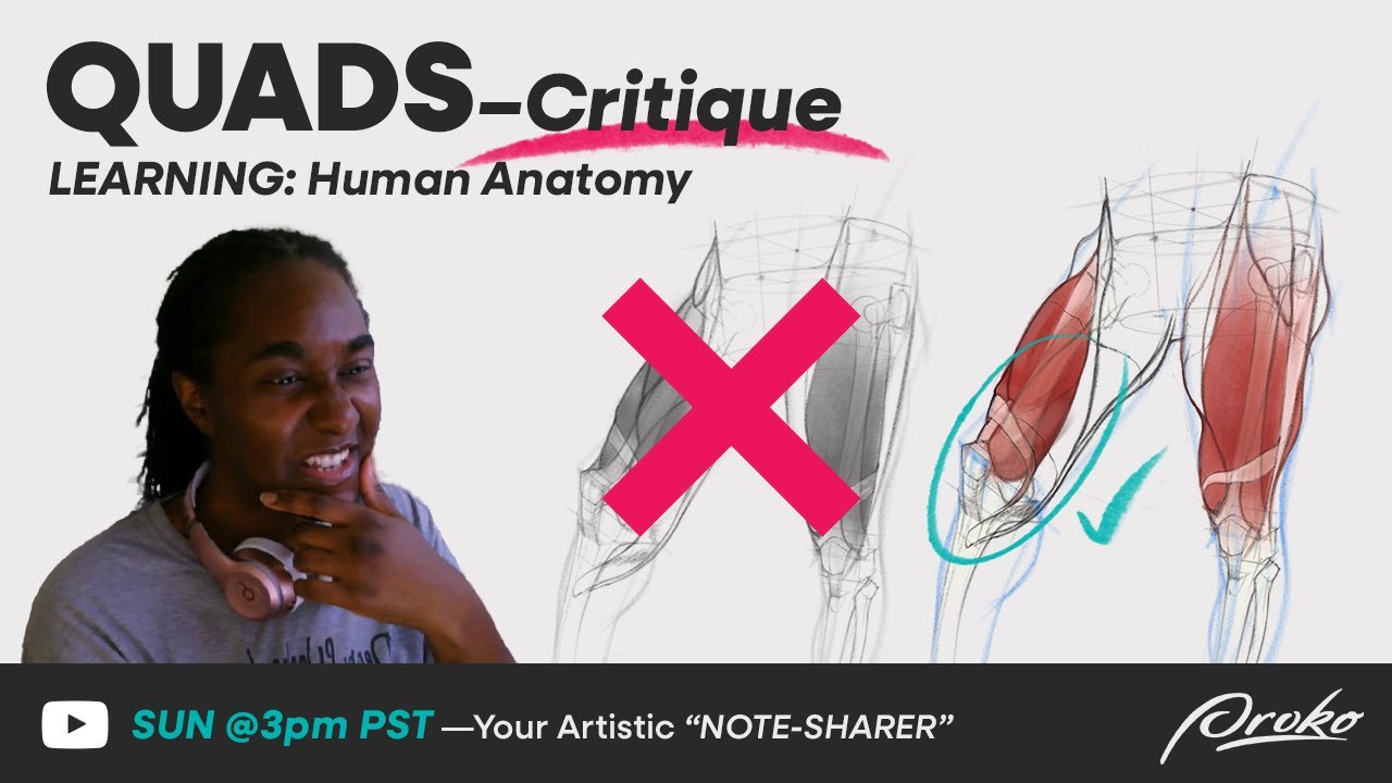 PROKO Anatomy Training: Quads Critique FINALE - YouTube