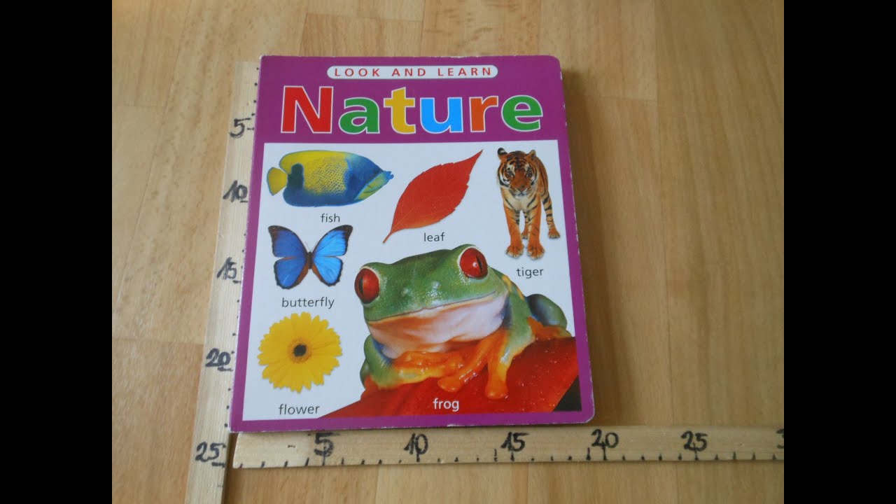 Look and learn nature - YouTube