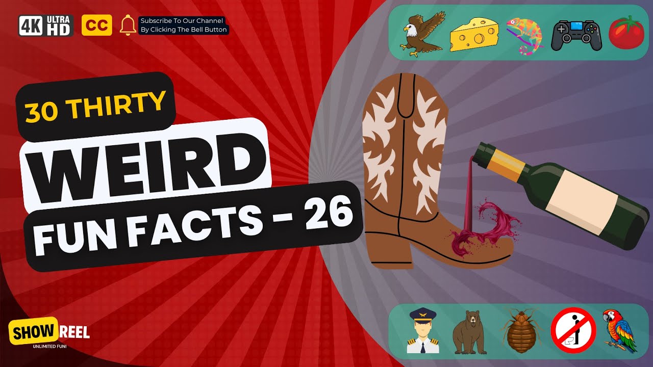 30 Mind-Blowing Weird Fun Facts You Never Knew! | Part 26 | Fascinating ...