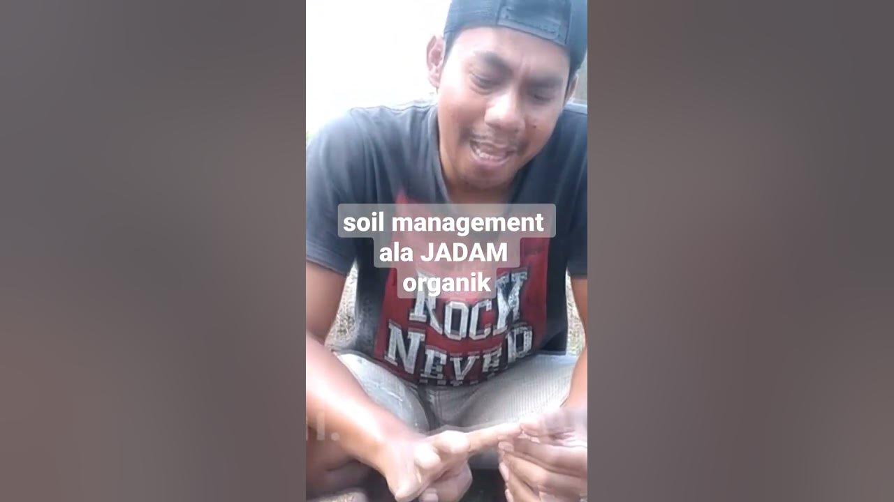tanah sehat ala JADAM #jadam #organik #organic - YouTube
