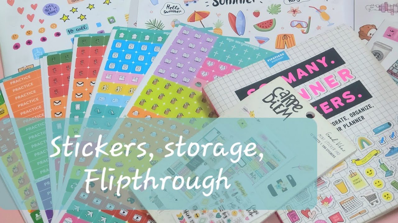 Fav productivity&cute Stickers|current storage|flip through ...