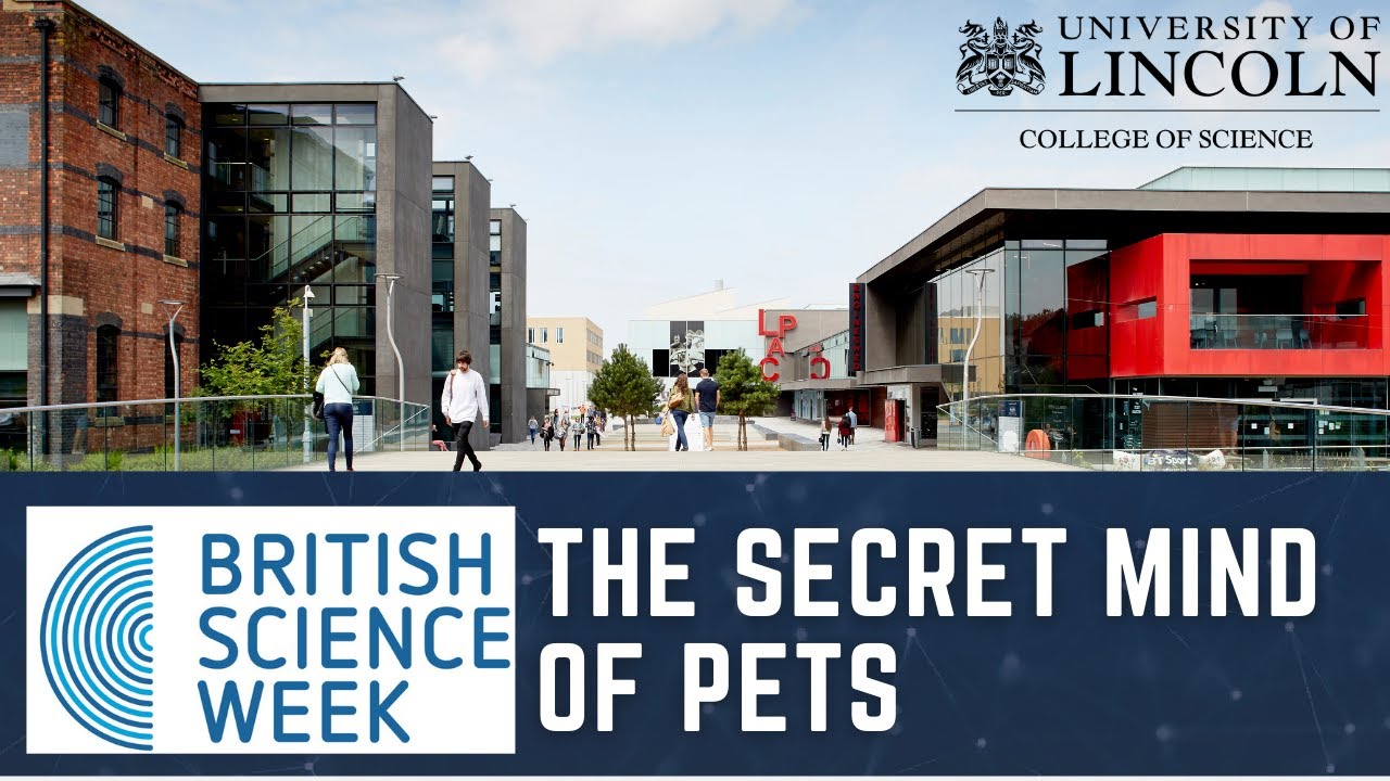 The Secret Mind of Pets | Professor Anna Wilkinson, Professor of Animal ...
