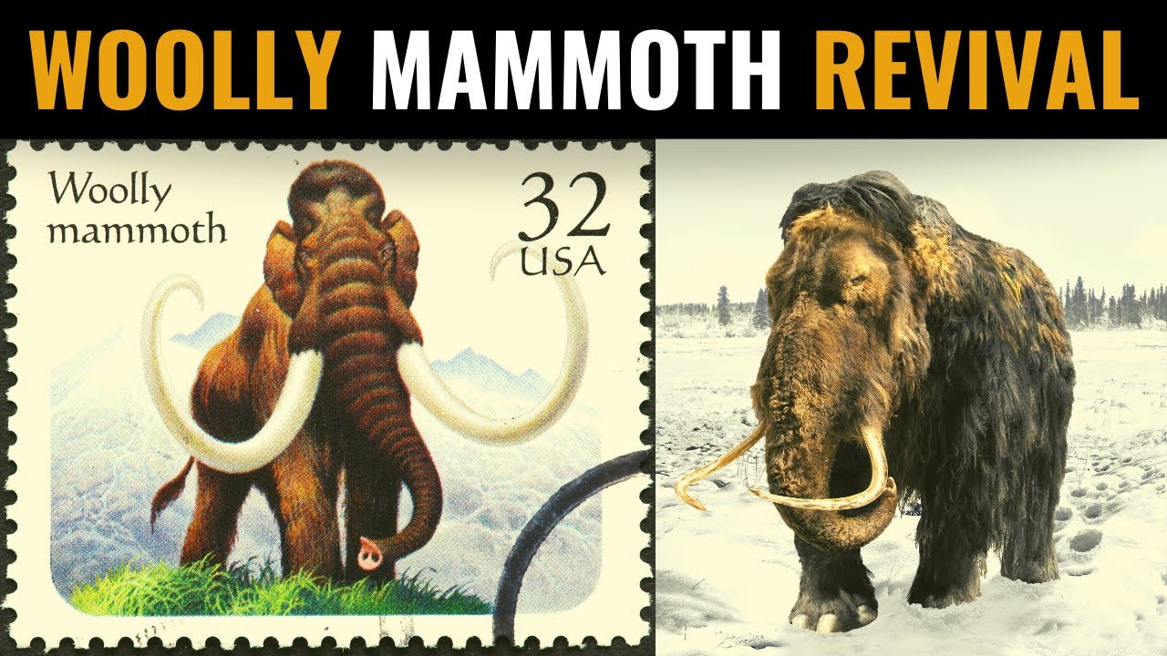Colossal to "Revive" the Extinct Woolly Mammoth Using CRISPR-Based Gene ...