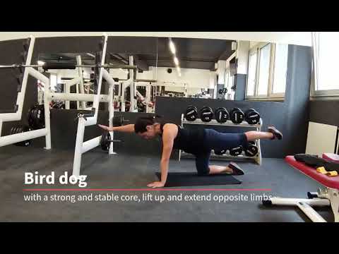 All fours core exercises - YouTube