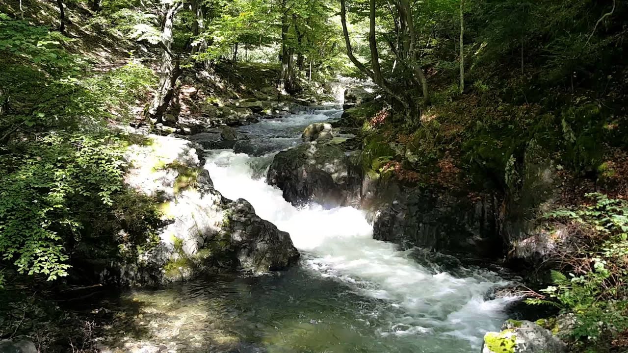 01 The river Old - Stara reka - Стара река - Bulgaria - YouTube