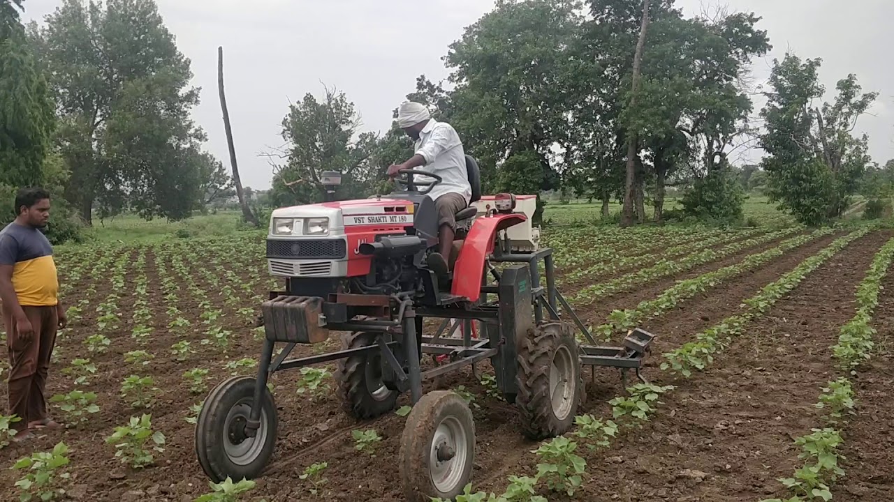 Cotton Inter crop weeding - YouTube