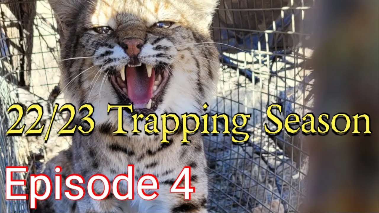 22/23 Trapping Season, Episode 4! - YouTube