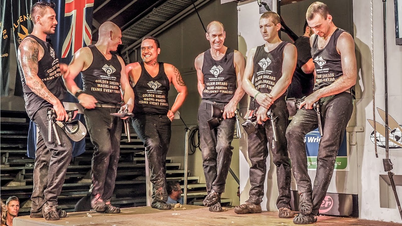 Golden Shears Open Shearing Semi Final - 2017 Golden Shears - YouTube