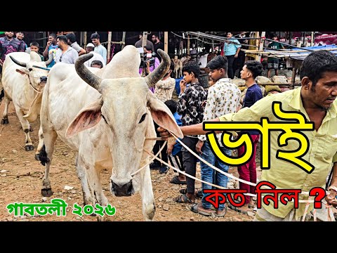 22 May • Bhai Koto Nilo 2026 | Gabtoli Cattle Market | Qurbani Cow Price 2026 | Gorur Haat Update 