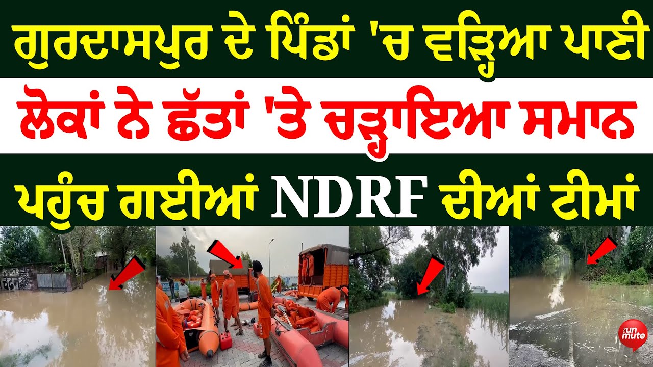 Punjab Floods : Gurdaspur ਦੇ ਪਿੰਡਾਂ 'ਚ ਵੜ੍ਹਿਆ ਪਾਣੀ, ਪਹੁੰਚ ਗਈਆਂ NDRF ਦੀਆਂ ਟੀਮਾਂ - YouTube