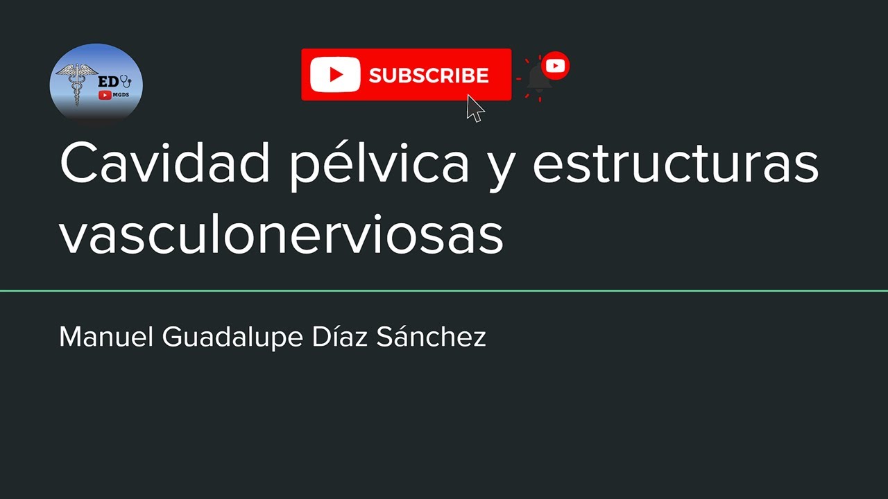 Anatomía: Cavidad pélvica (Generalidades) - YouTube