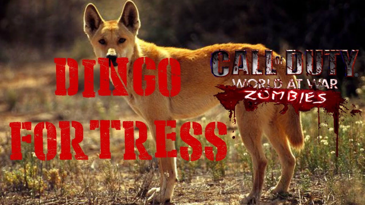 World at War- Custom Zombies: Dingo Fortress; The Raygun Mp40! - YouTube