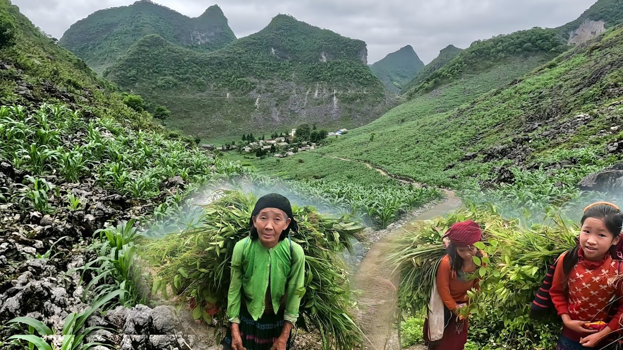 NCIG SAIB HMOOB LUB NEEJ TOJ ROOB ZEB SIAB 5/2025 - YouTube