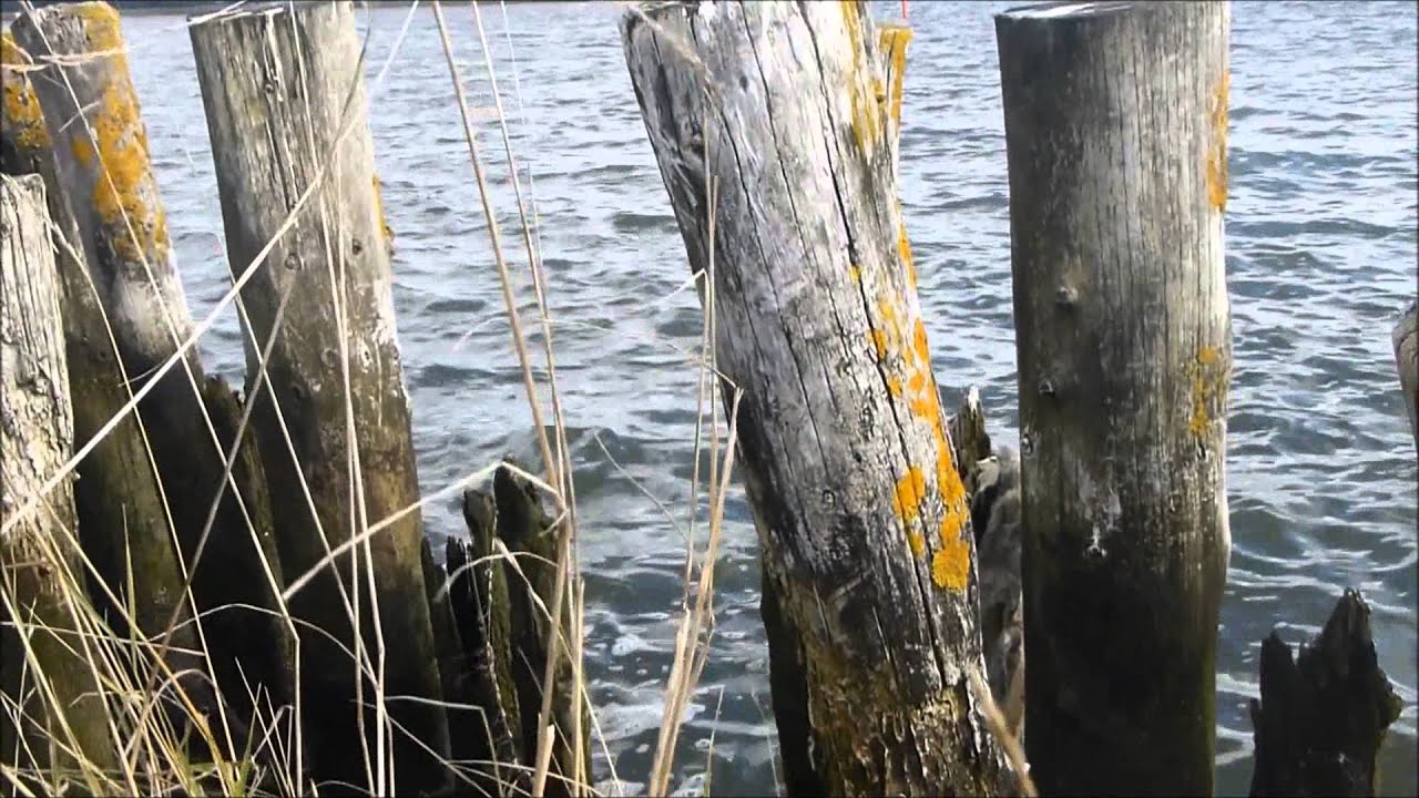 Flounder Fishing ( fiskeri efter fladfisk) - YouTube