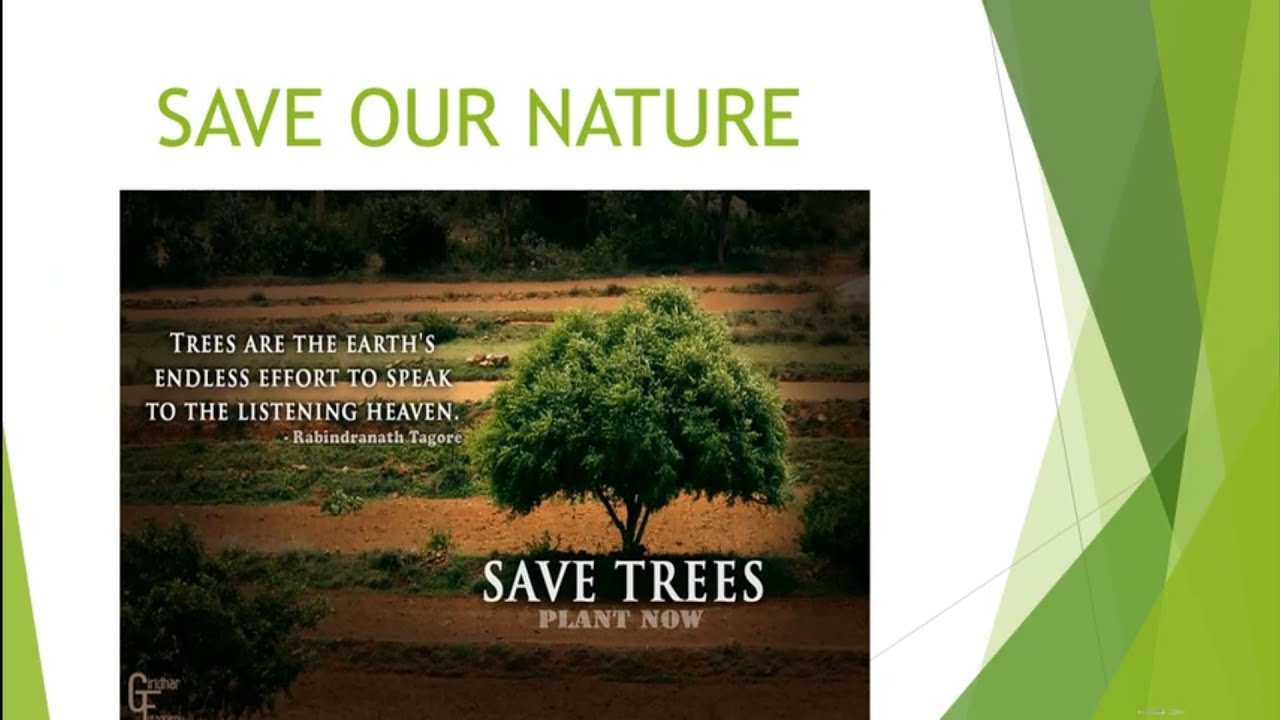 Importance Of Environment YouTube importance-of-environment-youtube