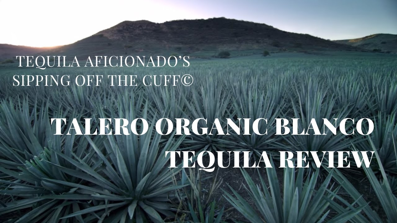Talero Organic Blanco Tequila Review - YouTube