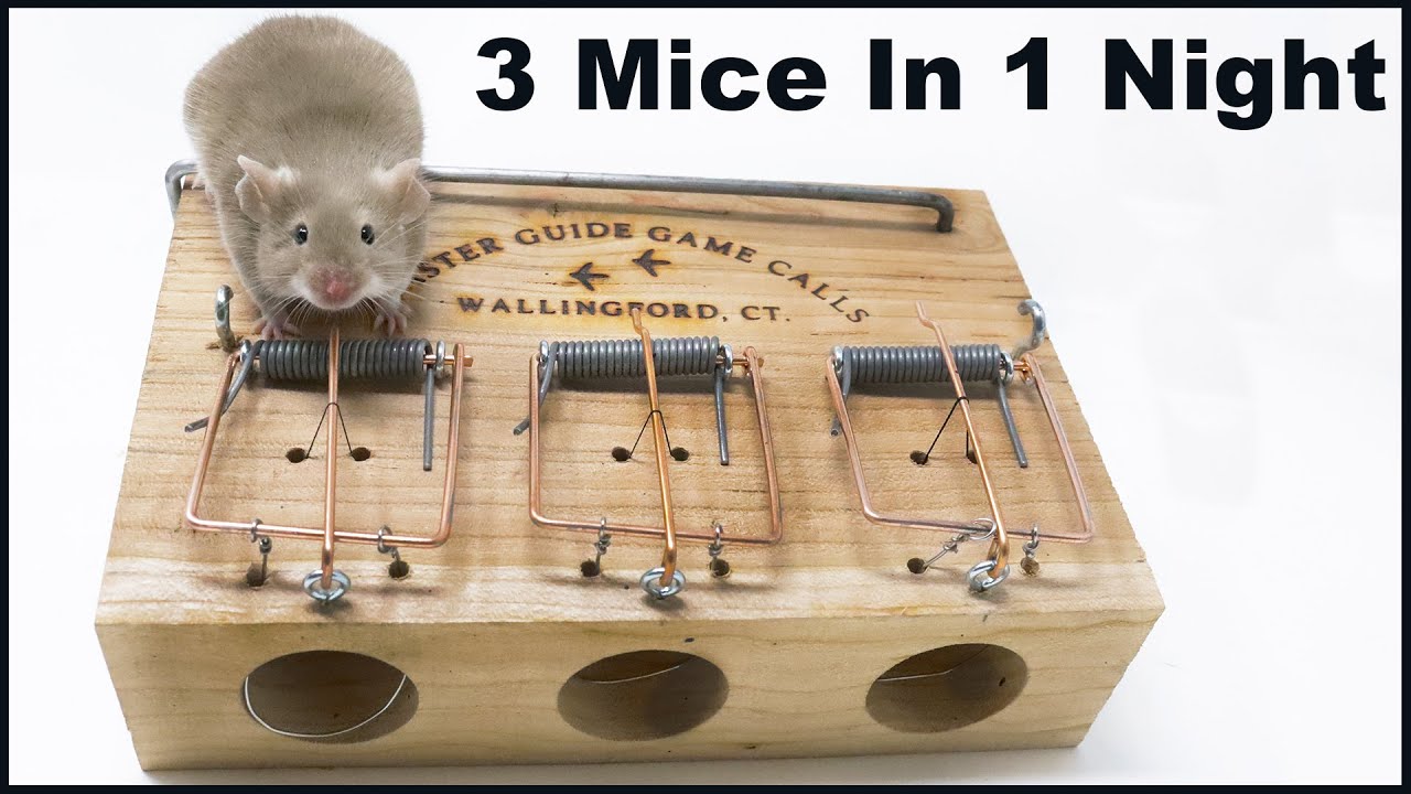 Mouse Triple - The Master Guide Game Calls Mouse Trap x 3 Mice ...