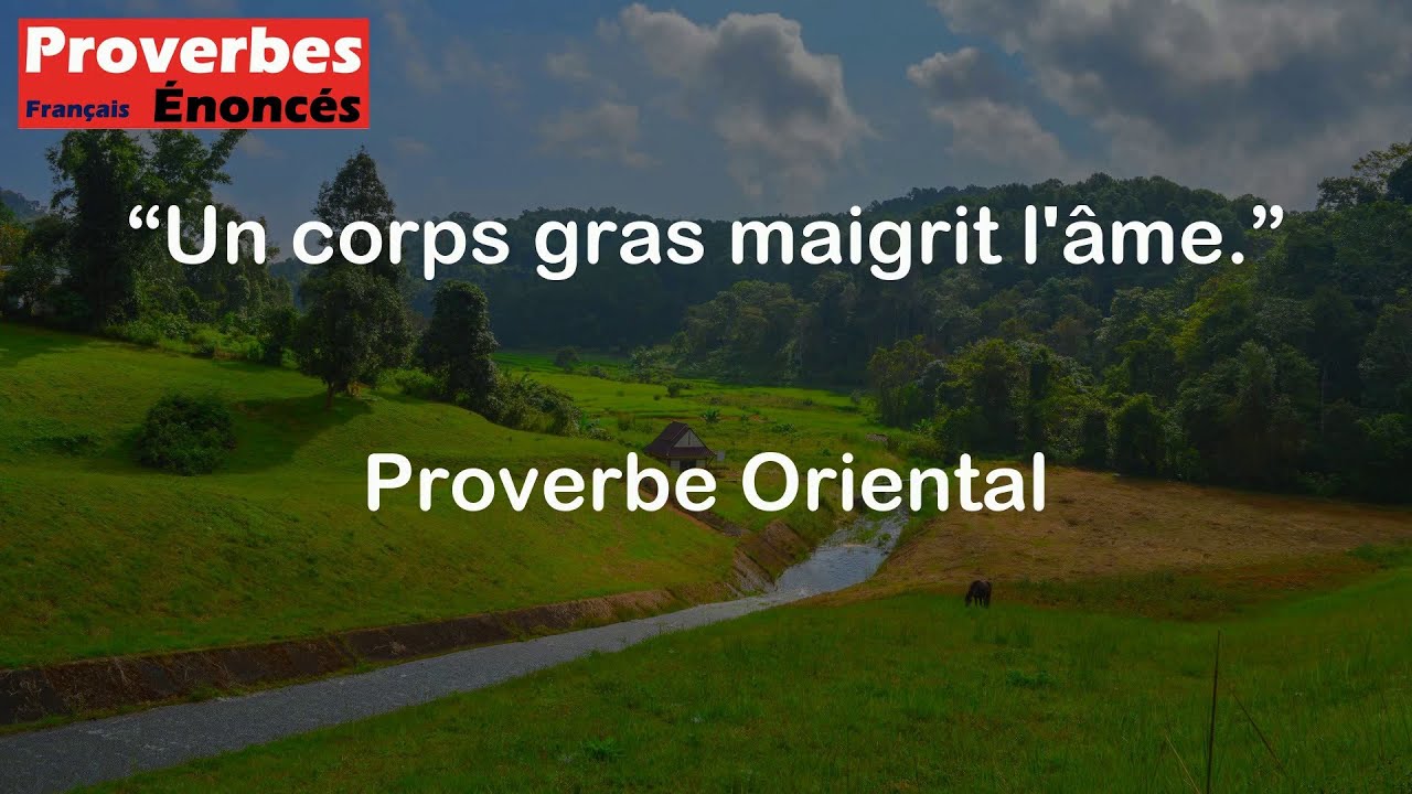 Proverbe Oriental - Un corps gras maigrit l'âme. - YouTube