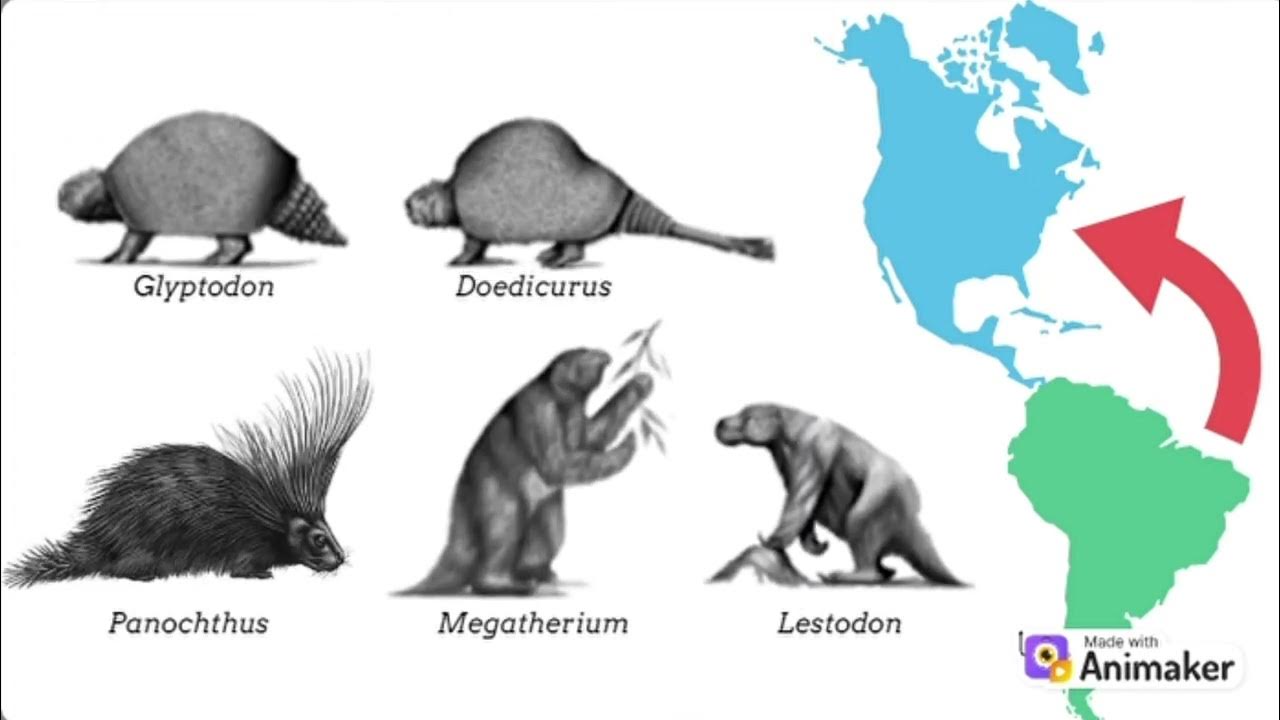 Gran Intercambio Biótico Americano (GABI) - YouTube