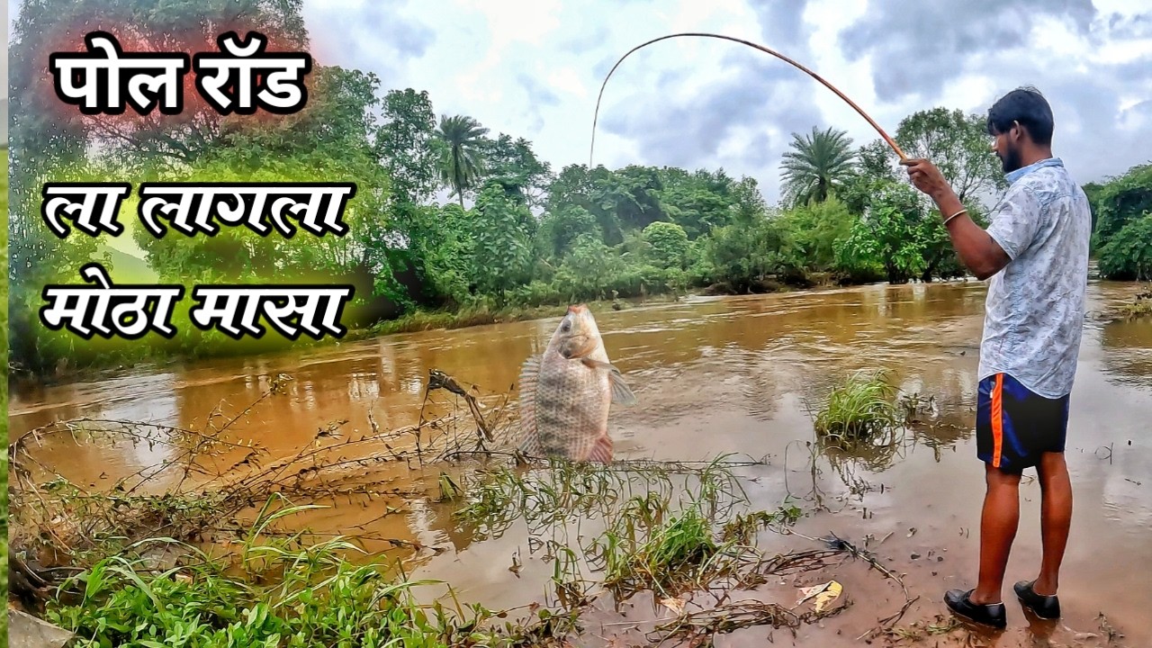 परफेक्ट पोल रॉड टेस्टिंग झाली लागला मोठा मासा | traditional hook ...