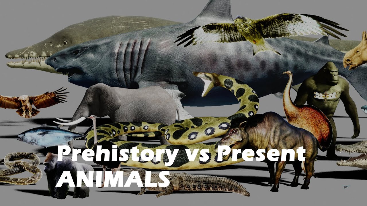 Animal Size Comparison: Living and Prehistoric - YouTube