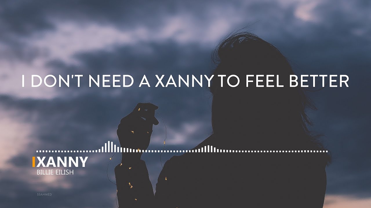 Billie Eilish - Xanny Lyrics - YouTube
