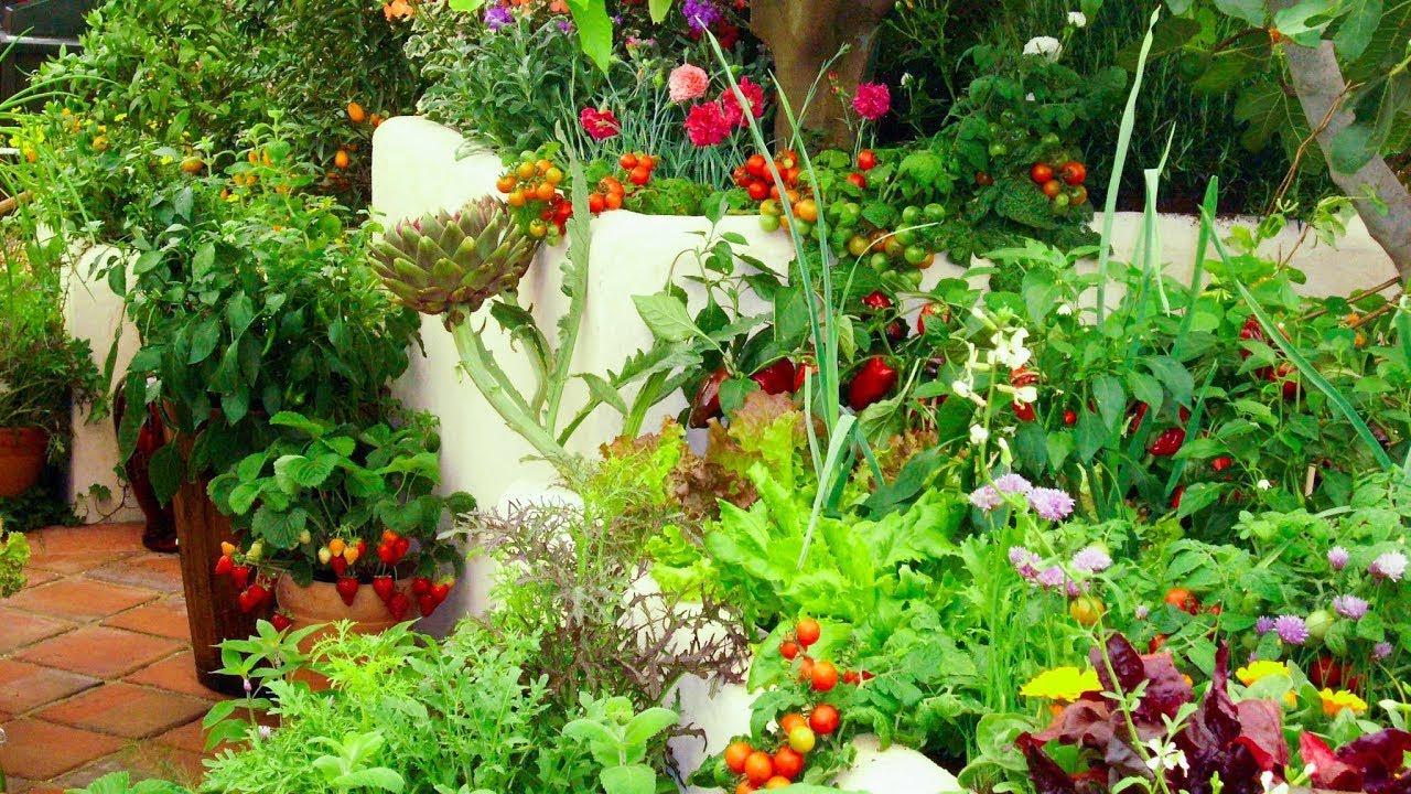 Grow More in the Same Space: Intensive Vegetable Gardening! - YouTube