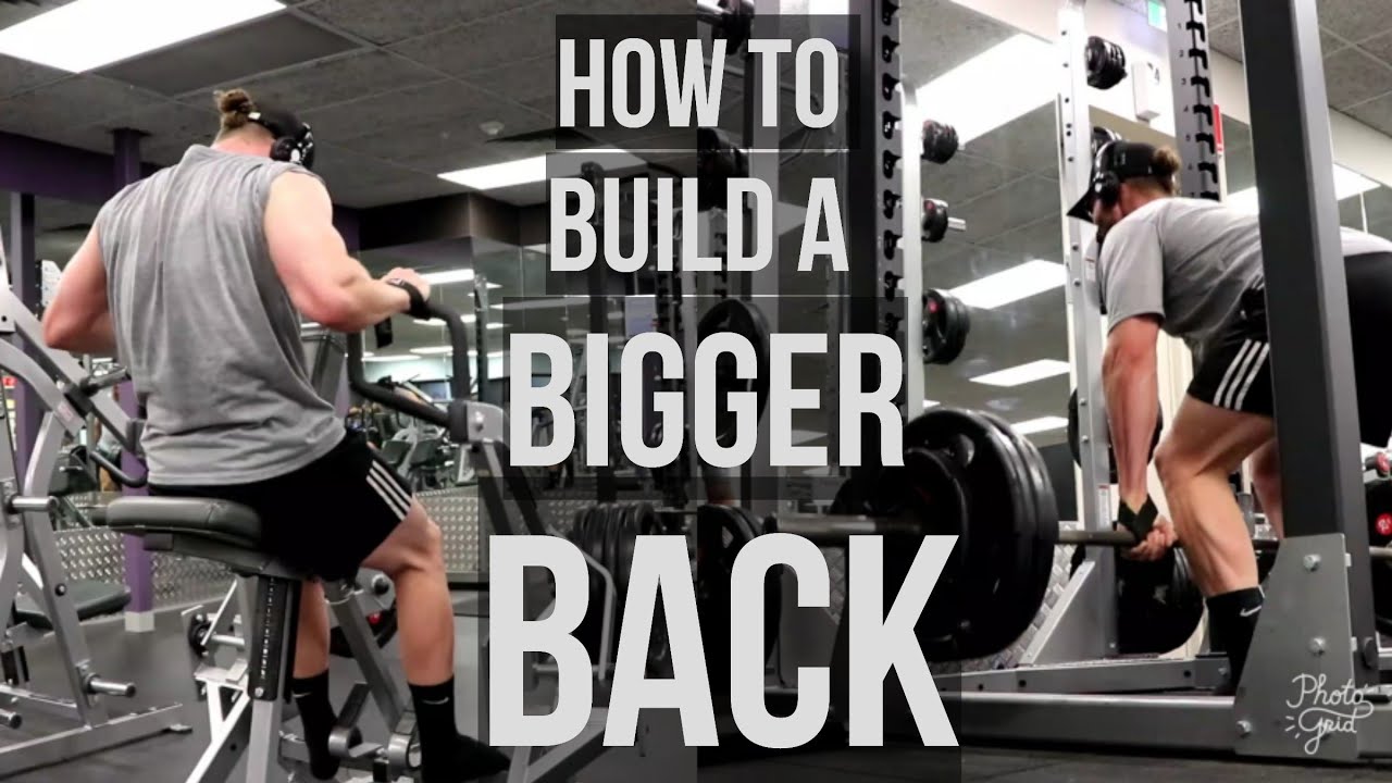 HOW TO BUILD A BIGGER BACK | MAKING GAINS 2 DAY 11 - YouTube