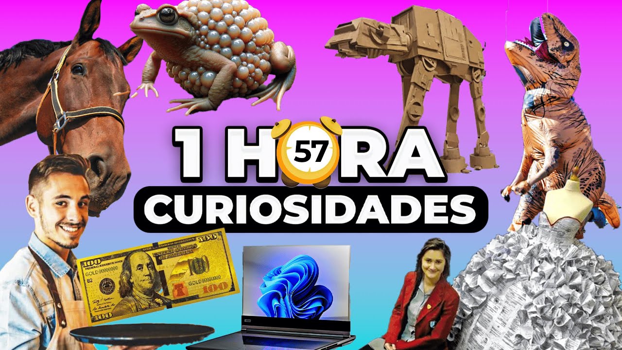 1 Hora De DATOS CURIOSOS y CURIOSIDADES ASOMBROSAS Del Mundo⏰😲| #57 ...
