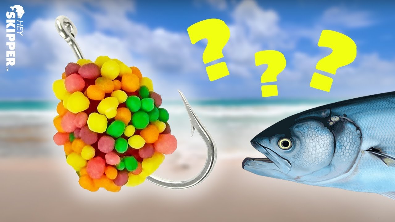 Why does EVERYONE want to EAT MY FISHING BAIT? I was shocked! (Florida ...