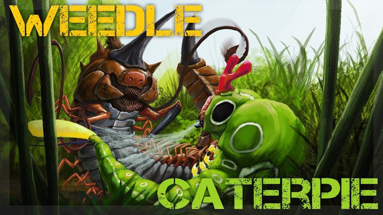 Pokemn Battle Art - Tutorial - Caterpie VSWeedle - YouTube