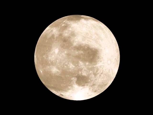 Blue Moon - Elvis Presley Chords - Chordify