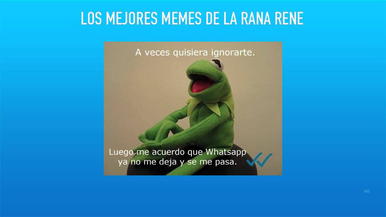 Los Mejores memes de la rana rene - YouTube