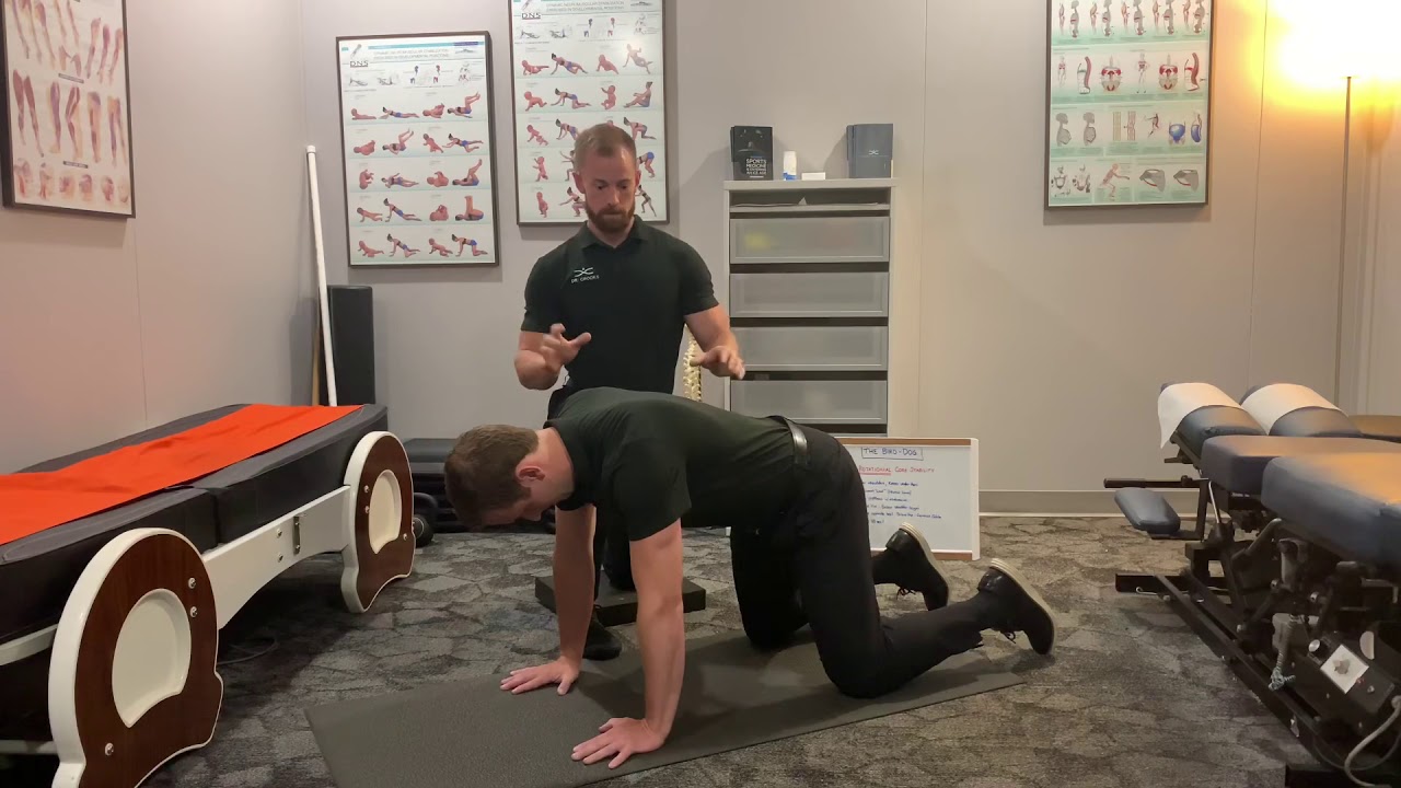 The Bird Dog: Anti-Rotational Stability - YouTube