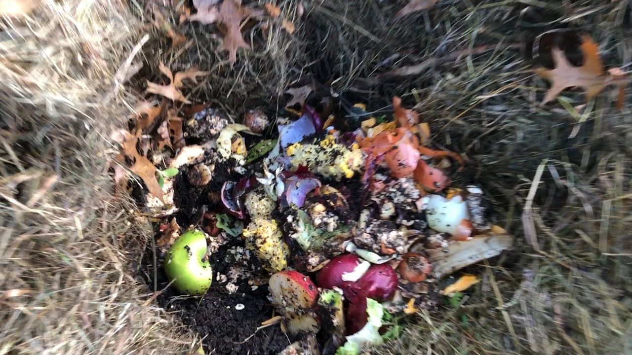 Composting in bags with Edward and Kate during quarantine. - YouTube